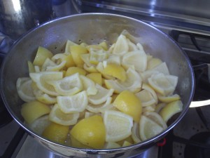 The Perfect Medieval Palate Cleanser – Succades | Eirny